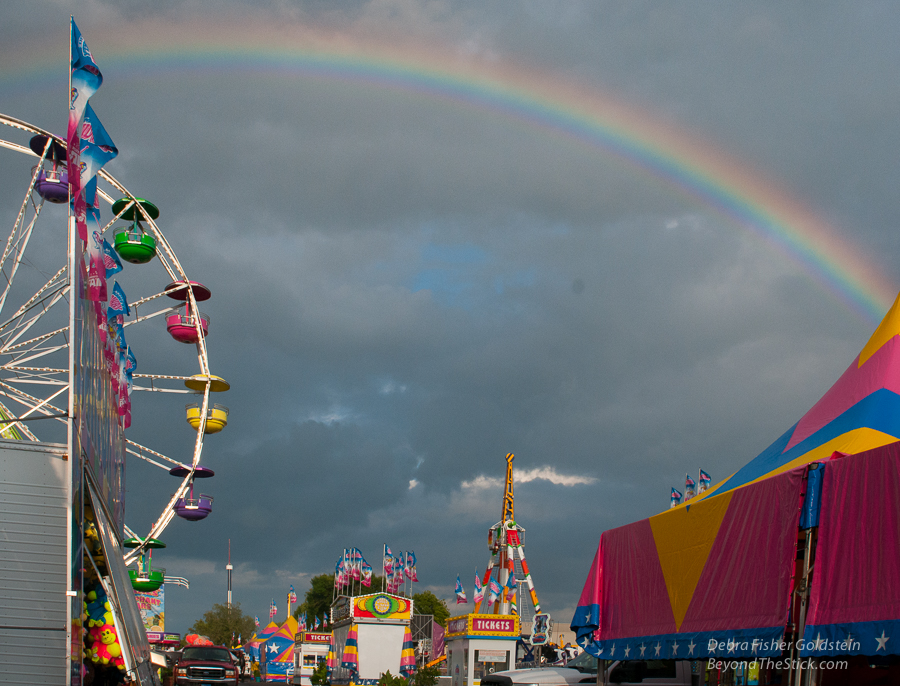 MN State Fair and Great Pyrenees Photography by Debra Fisher Goldstein ...