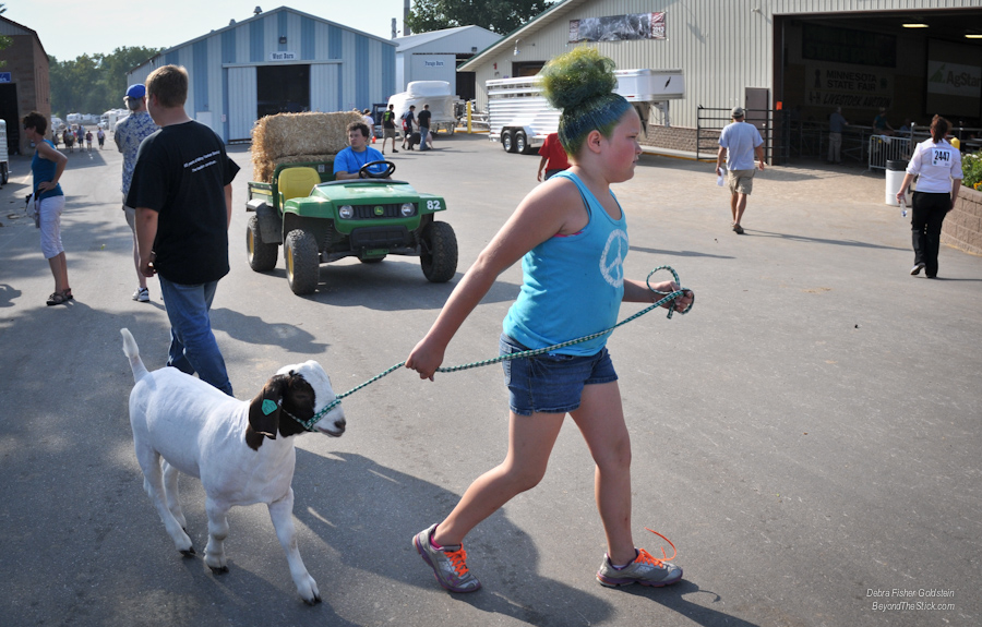 MN State Fair and Great Pyrenees Photography by Debra Fisher Goldstein ...