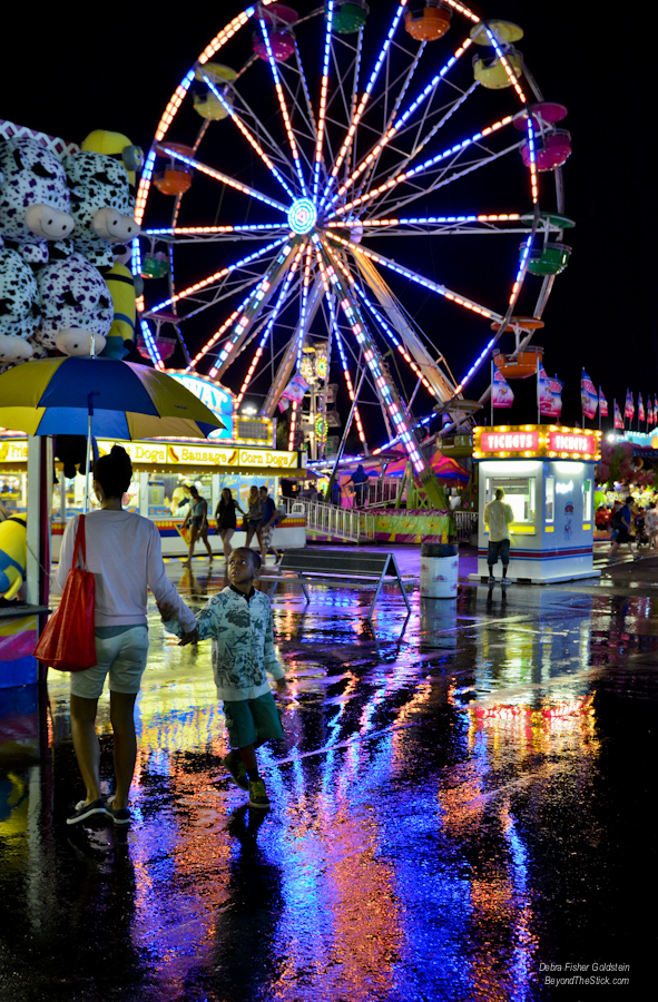 MN State Fair and Great Pyrenees Photography by Debra Fisher Goldstein ...
