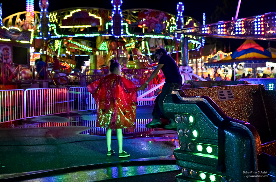 MN State Fair and Great Pyrenees Photography by Debra Fisher Goldstein ...