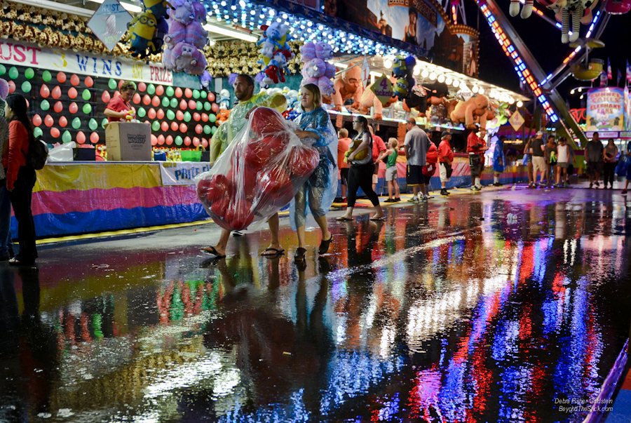 MN State Fair and Great Pyrenees Photography by Debra Fisher Goldstein ...
